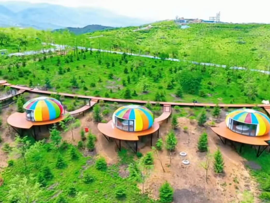 Zhejiang BST Technology Co.,Ltd.-Has devoted to the research ...